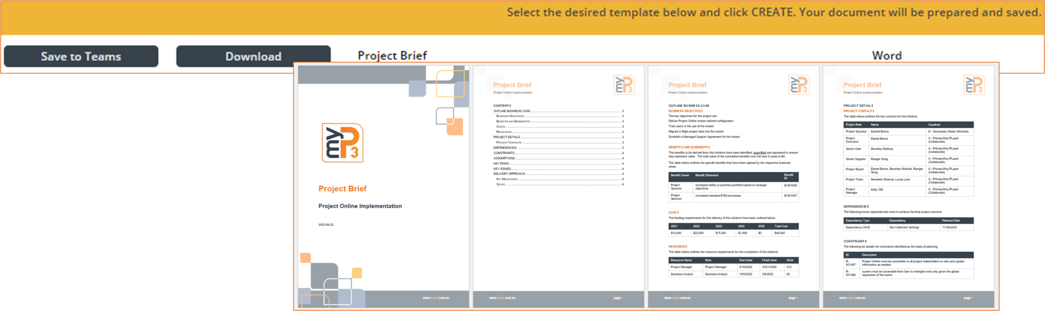 PPM Solutions - Portfolio Programme Project - Better Project Outcomes