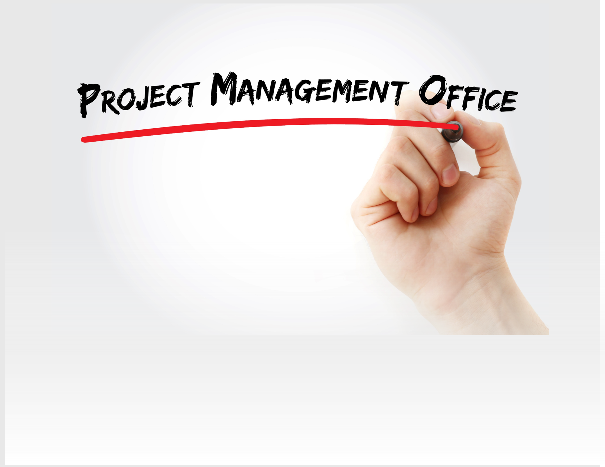 Project Management Office Capability is Vital for Delivery