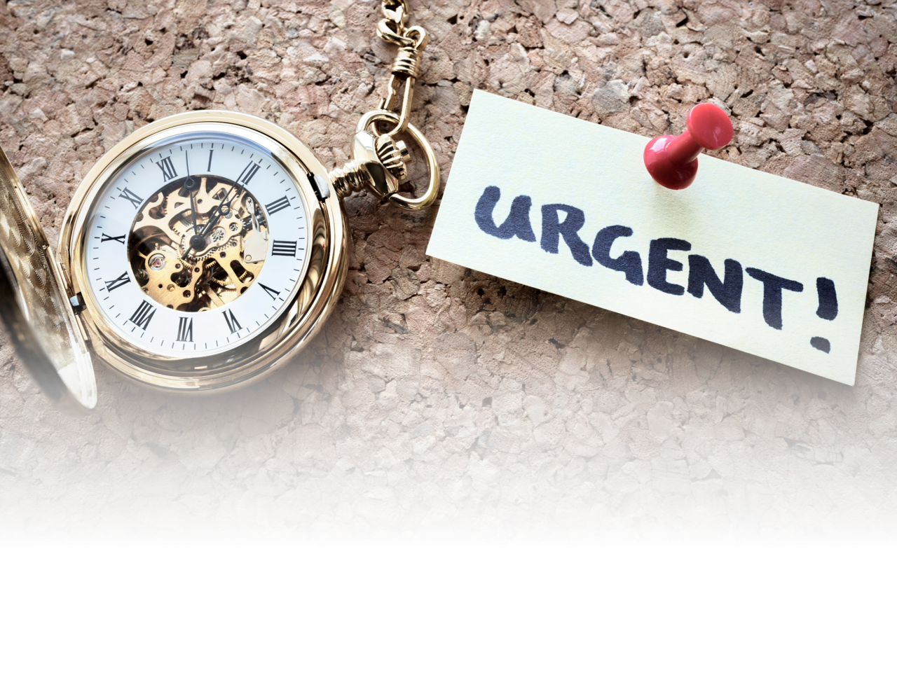 Rapid setup of TPMO drives Change Agenda - Portfolio Programme Project ...